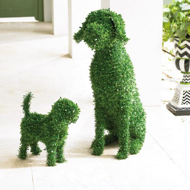 Topiary Dogs - 24 Seven Productions